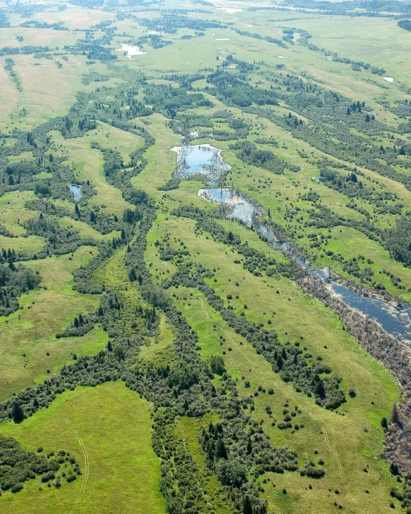 Environmental Impact Grant | Alberta Ecotrust Foundation