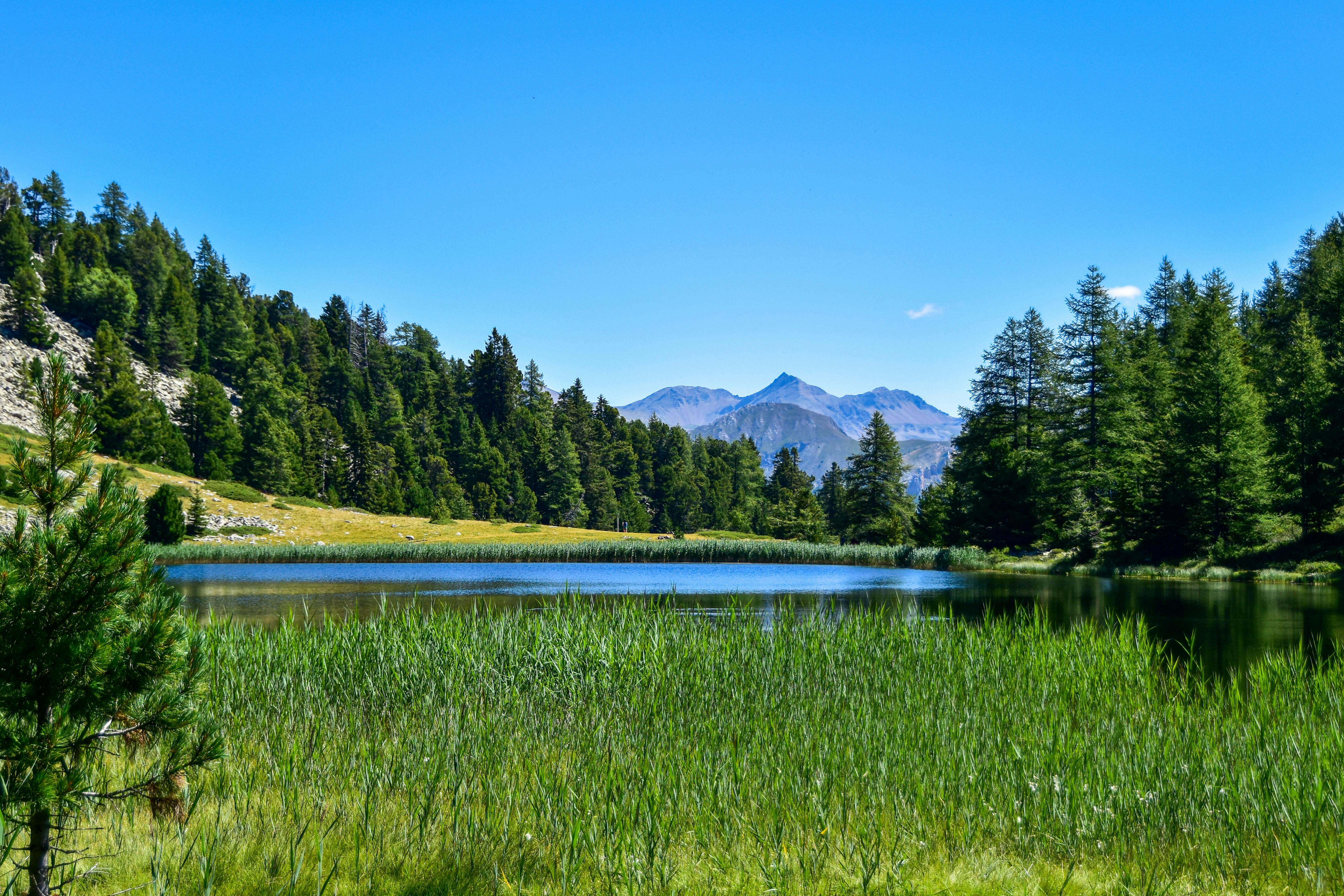 SEAWA Futures: From echo to insight | Alberta Ecotrust Foundation