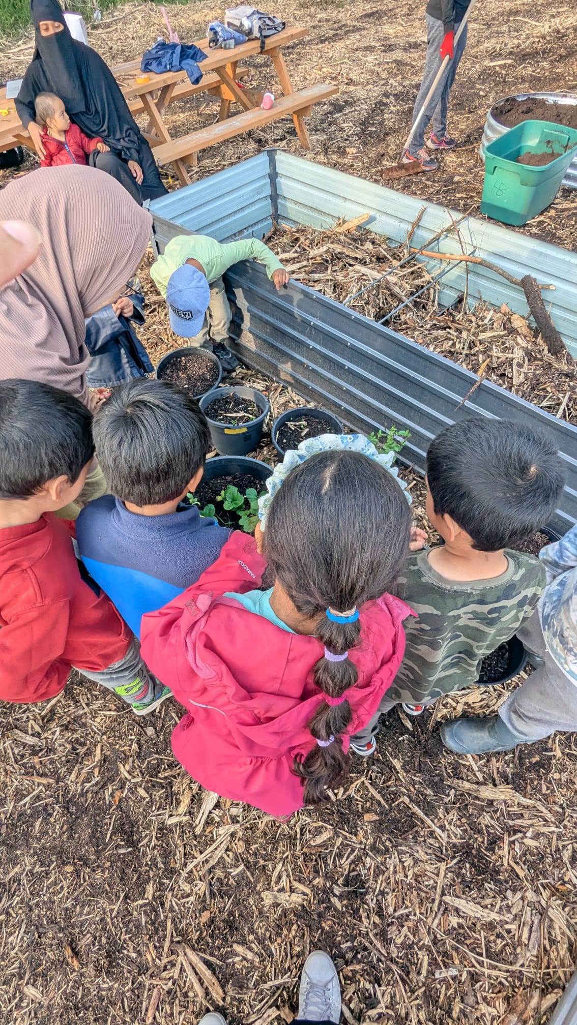 Nature literacy toolkit | Alberta Ecotrust Foundation