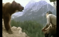 Genesis Unveiled : Man Vs. Bear: Who Has Dominion For Real? | Aleph Beta