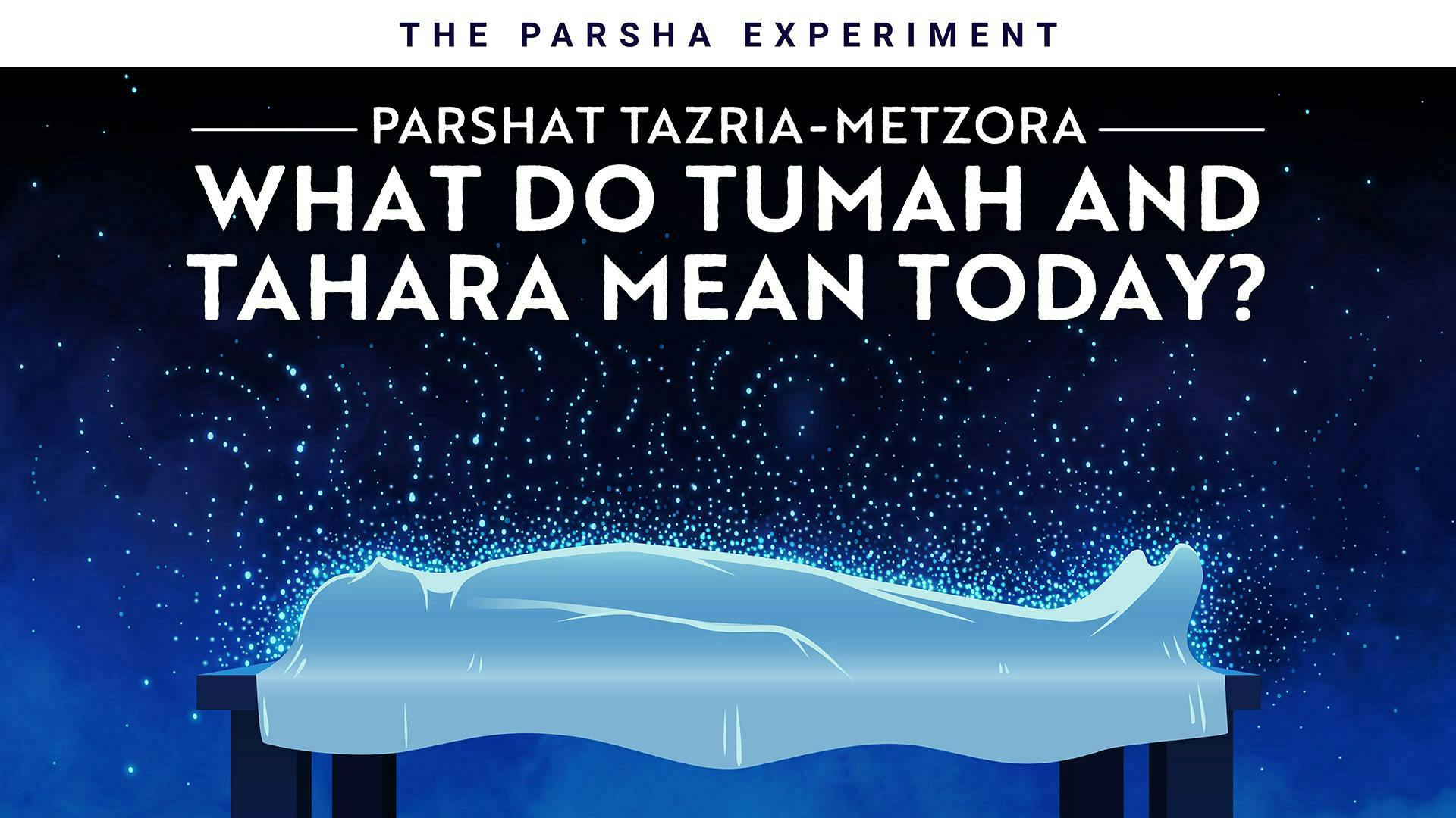 What do Tumah and Tahara Mean Today?