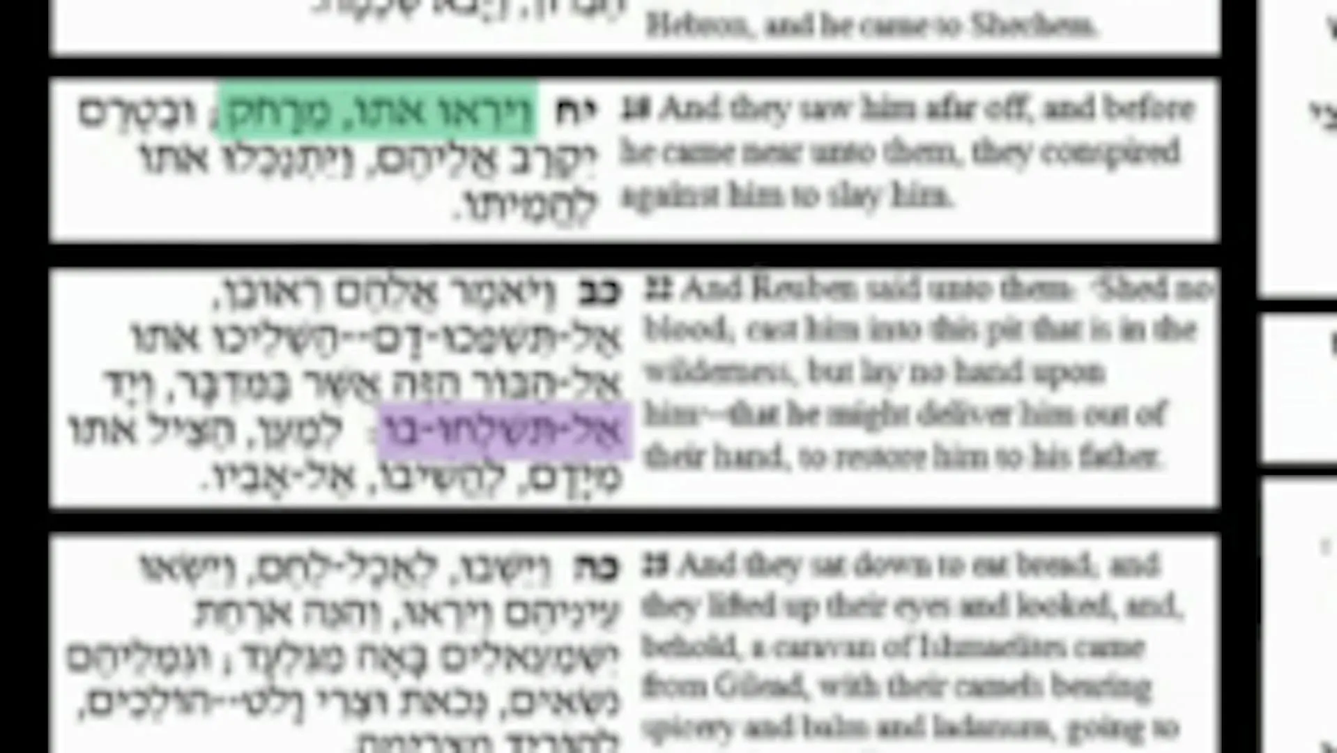 The Joseph Story: Where Have I Heard This Before?