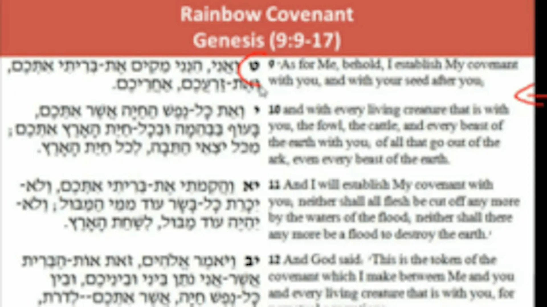 Genesis Unveiled: Colors of the Rainbow