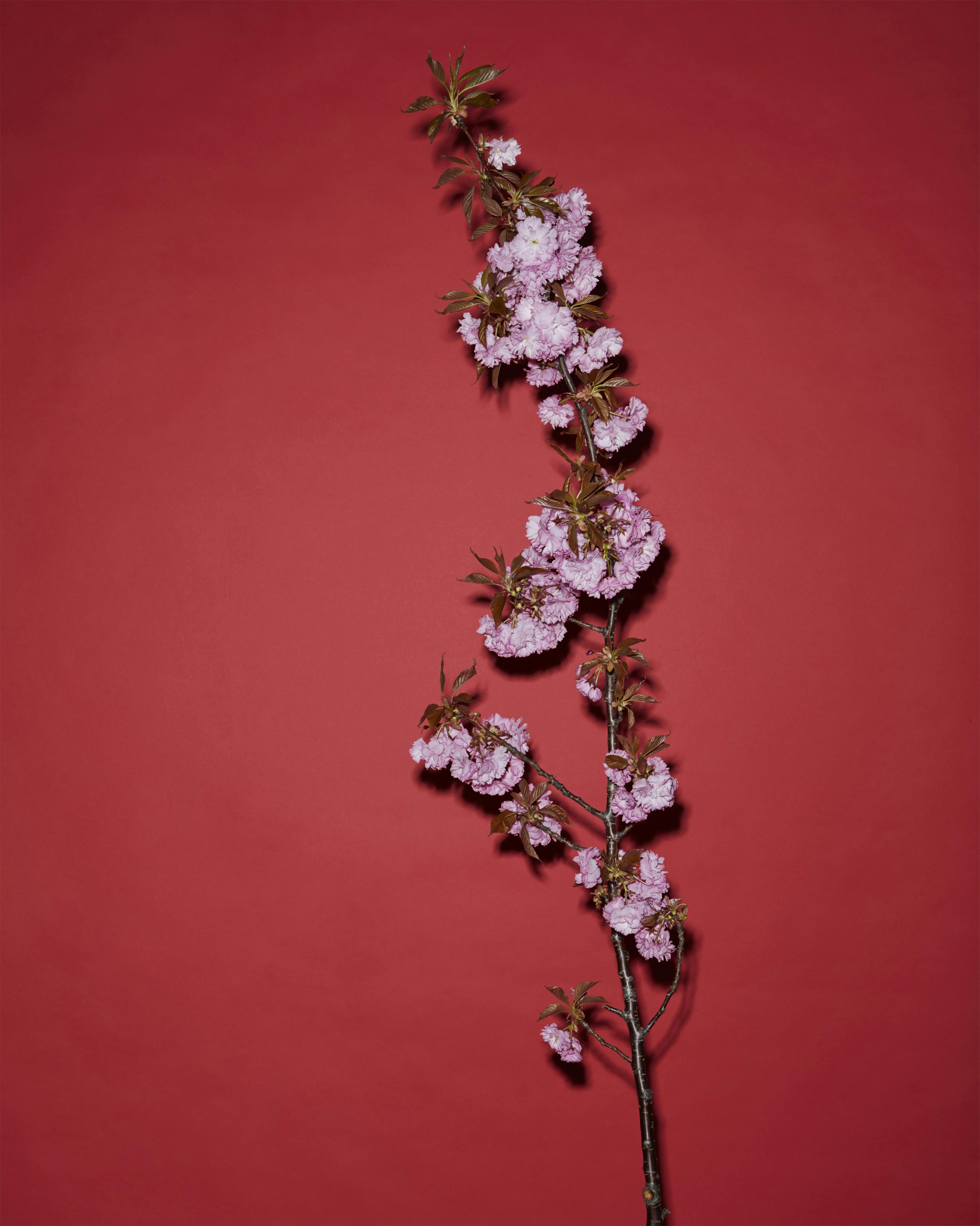 Katie Holmes Amazing Magazine