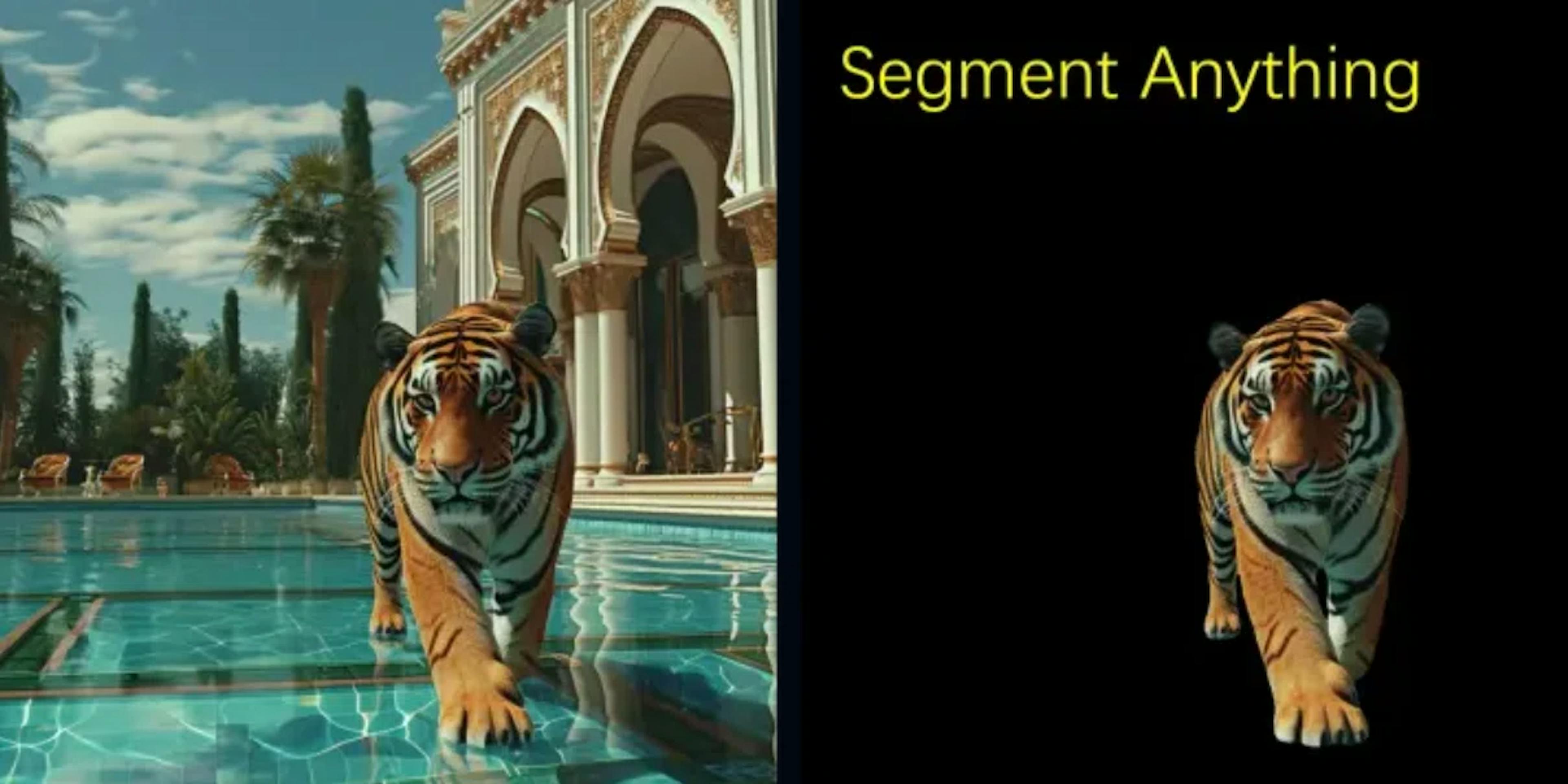 セグメンテーションモデルのビジネス活用事例：最新技術(SAM2)動向と使用デモ付き｜AlgoMagazine(アルゴマガジン)