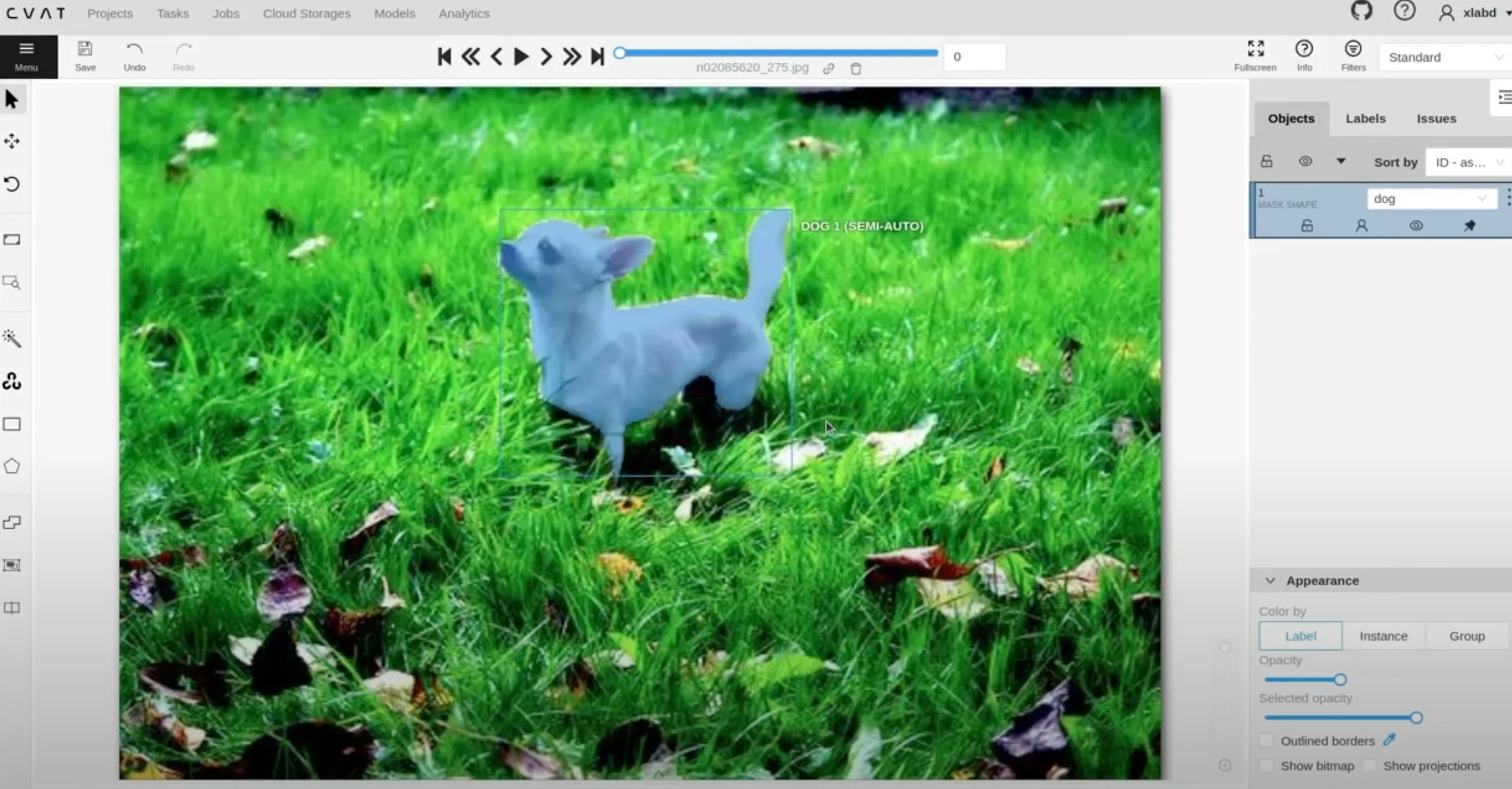 セグメンテーションモデルのビジネス活用事例：最新技術(SAM2)動向と使用デモ付き｜AlgoMagazine(アルゴマガジン)