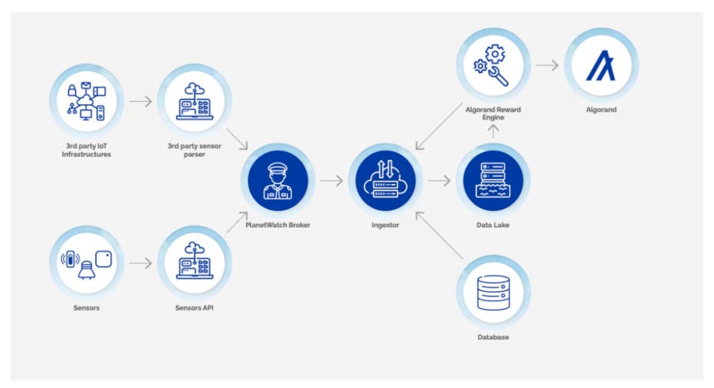 Algorands Leadership In Blockchain Sustainability Algorand