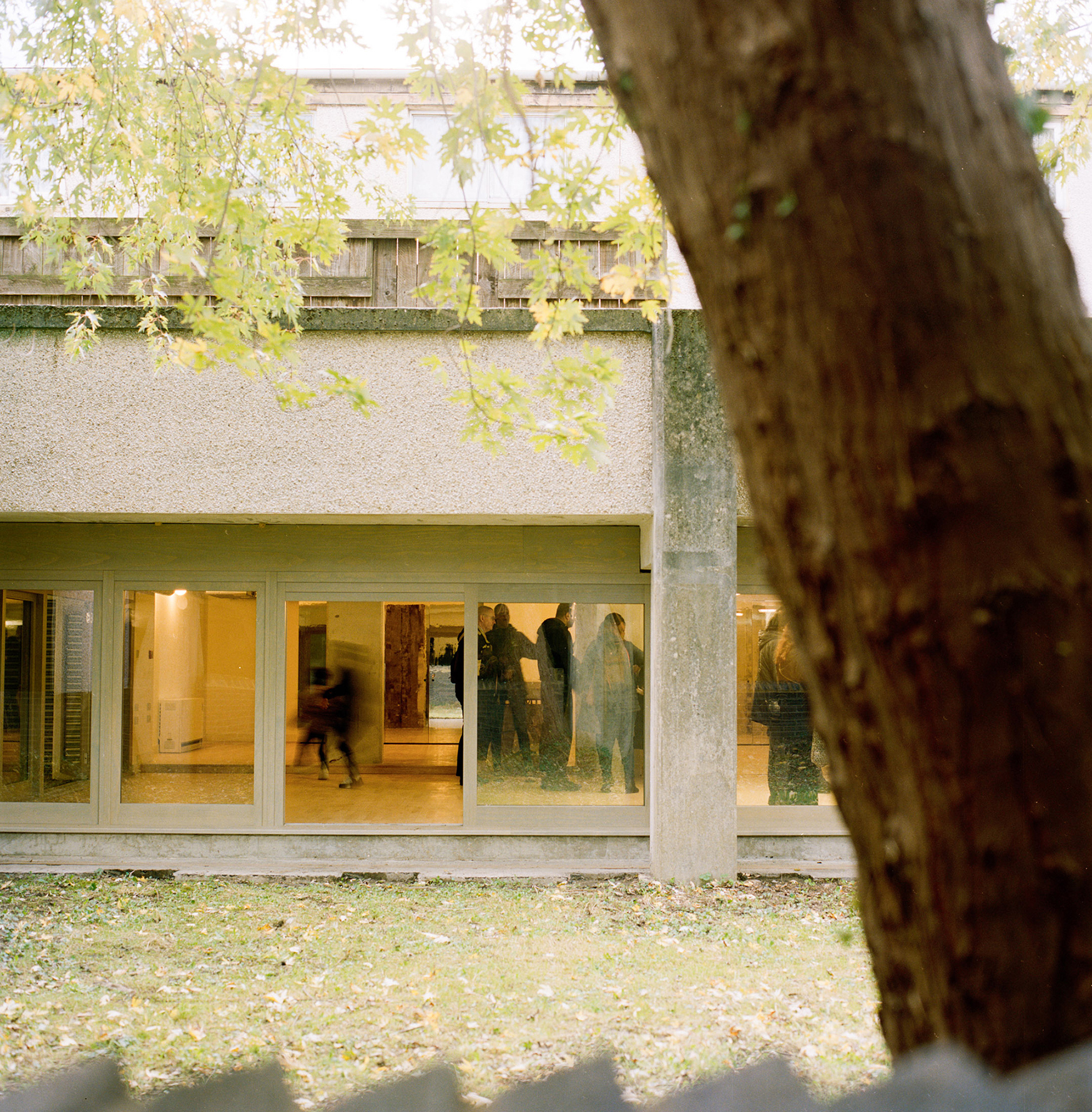 Projects - Alison Crawshaw