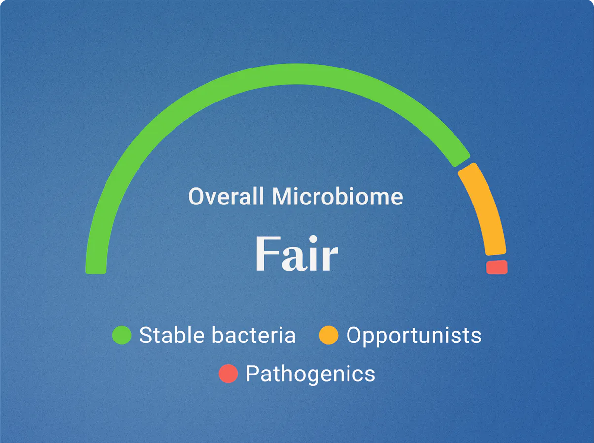 Your all-round check for optimum oral hygiene | Bacteria Analysis at ...