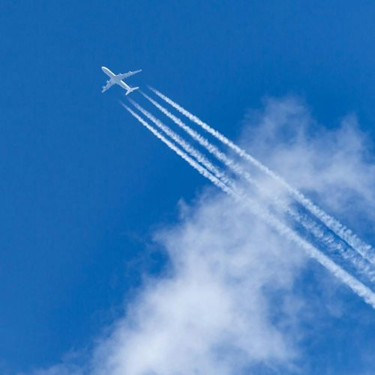 Flying with Marijuana | Can you take cannabis on a plane?