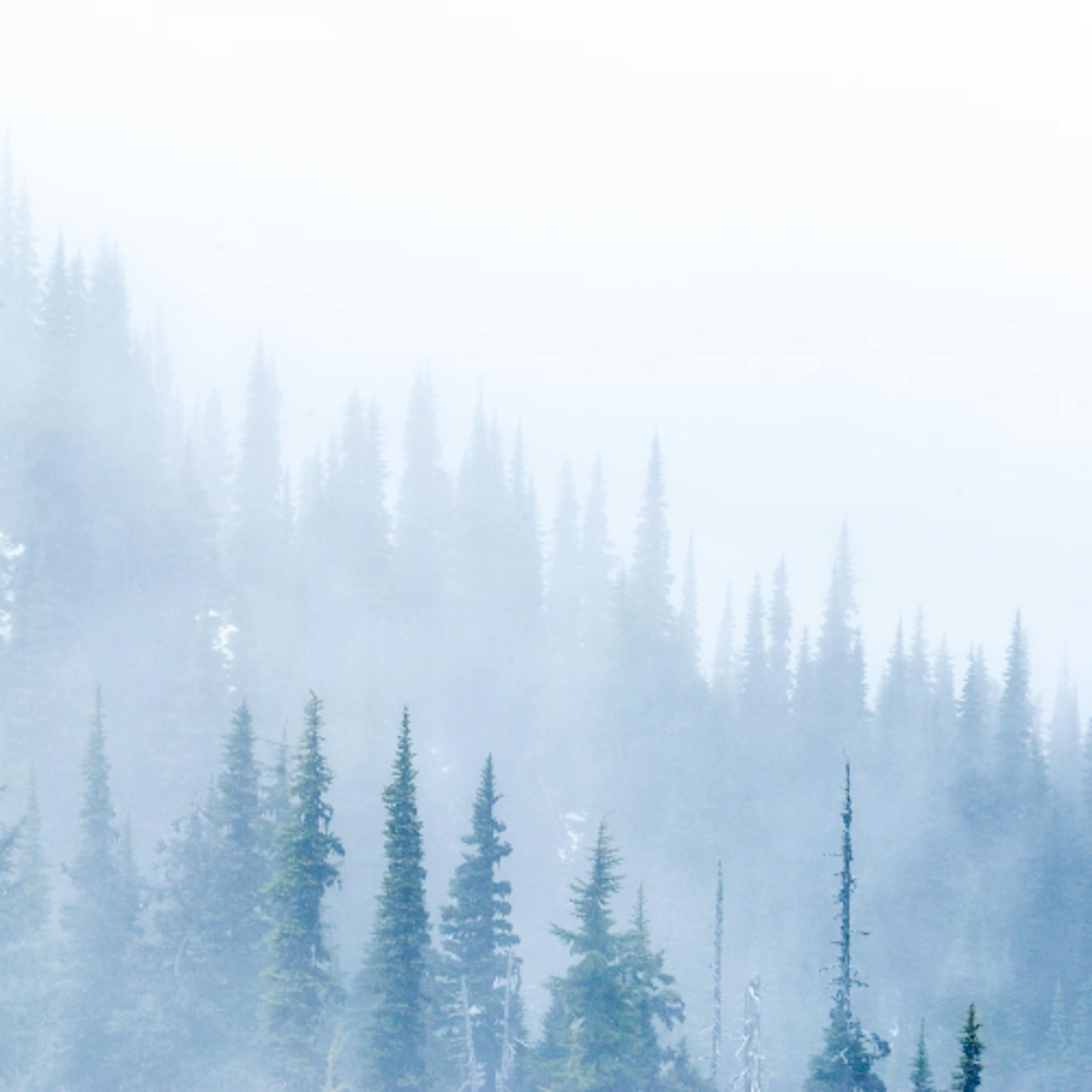 Flying through Storms and Hurricanes