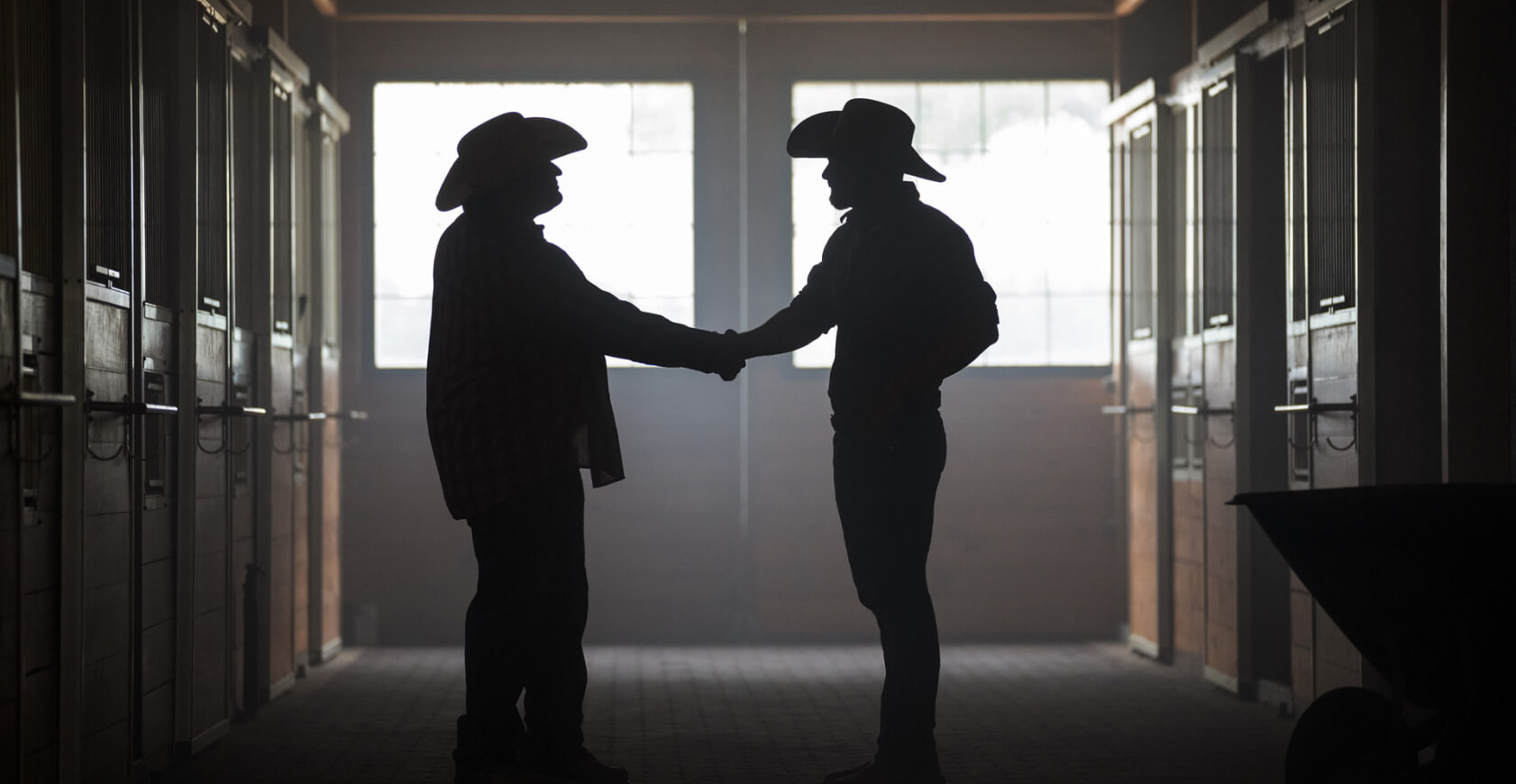 When a rookie FBI agent uncovers a massive money laundering operation ...