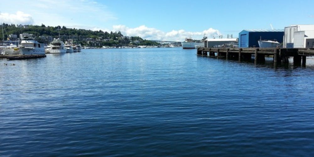 South Lake Union Activities You Can Enjoy Again and Again