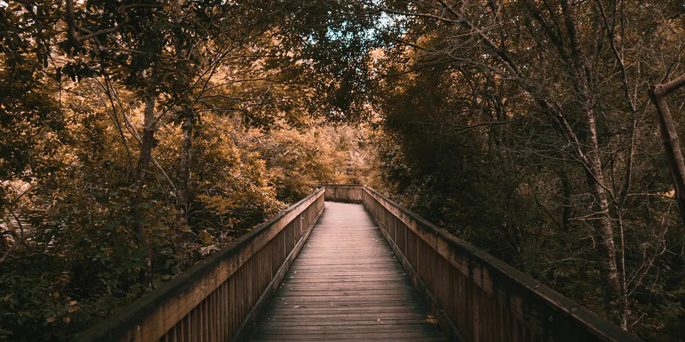 Scenic Walking Trails in Atlanta