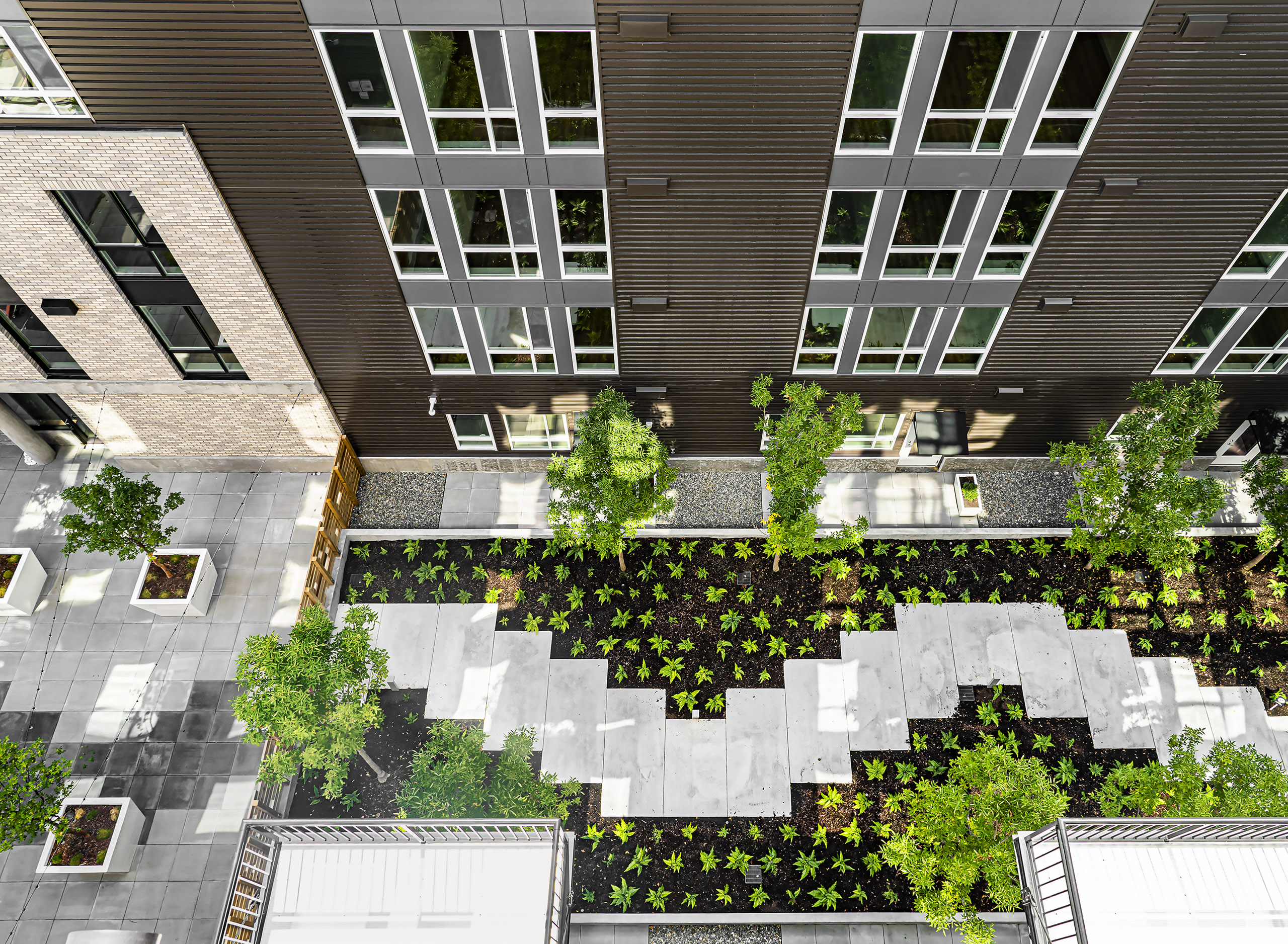 New Apartments in Bellevue, WA | Amenities | AMLI Spring District