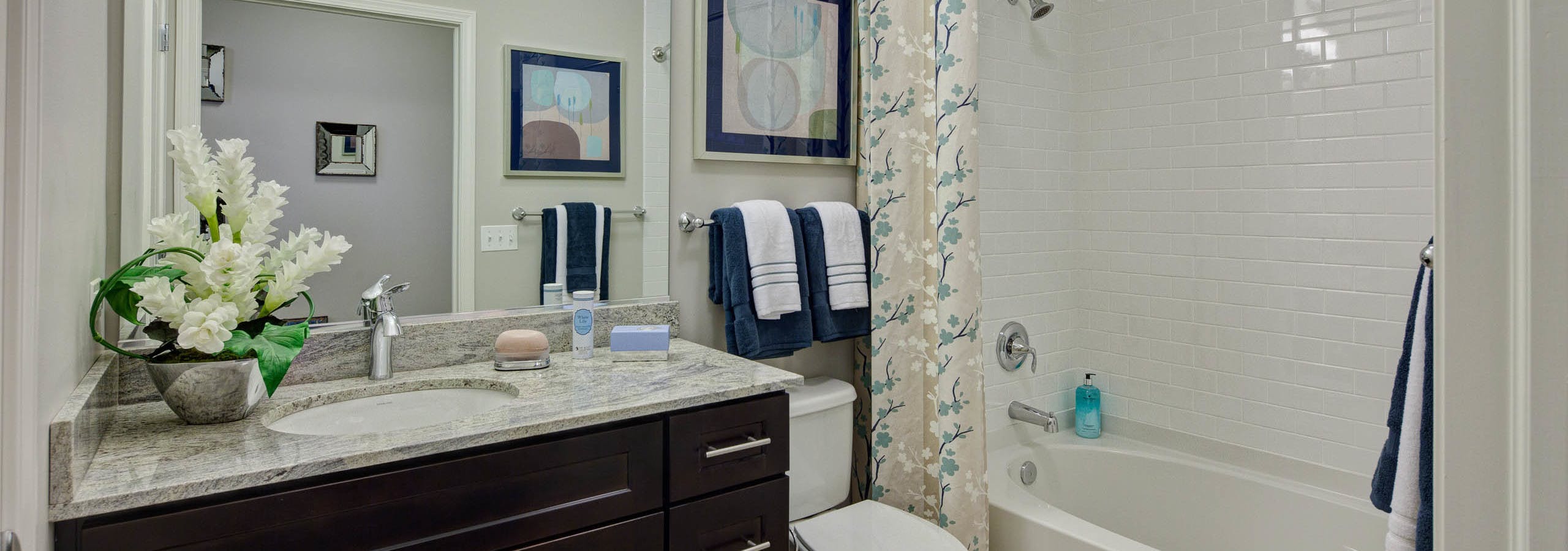 Evanston 1 & 2 Bedroom Apartments | AMLI Evanston