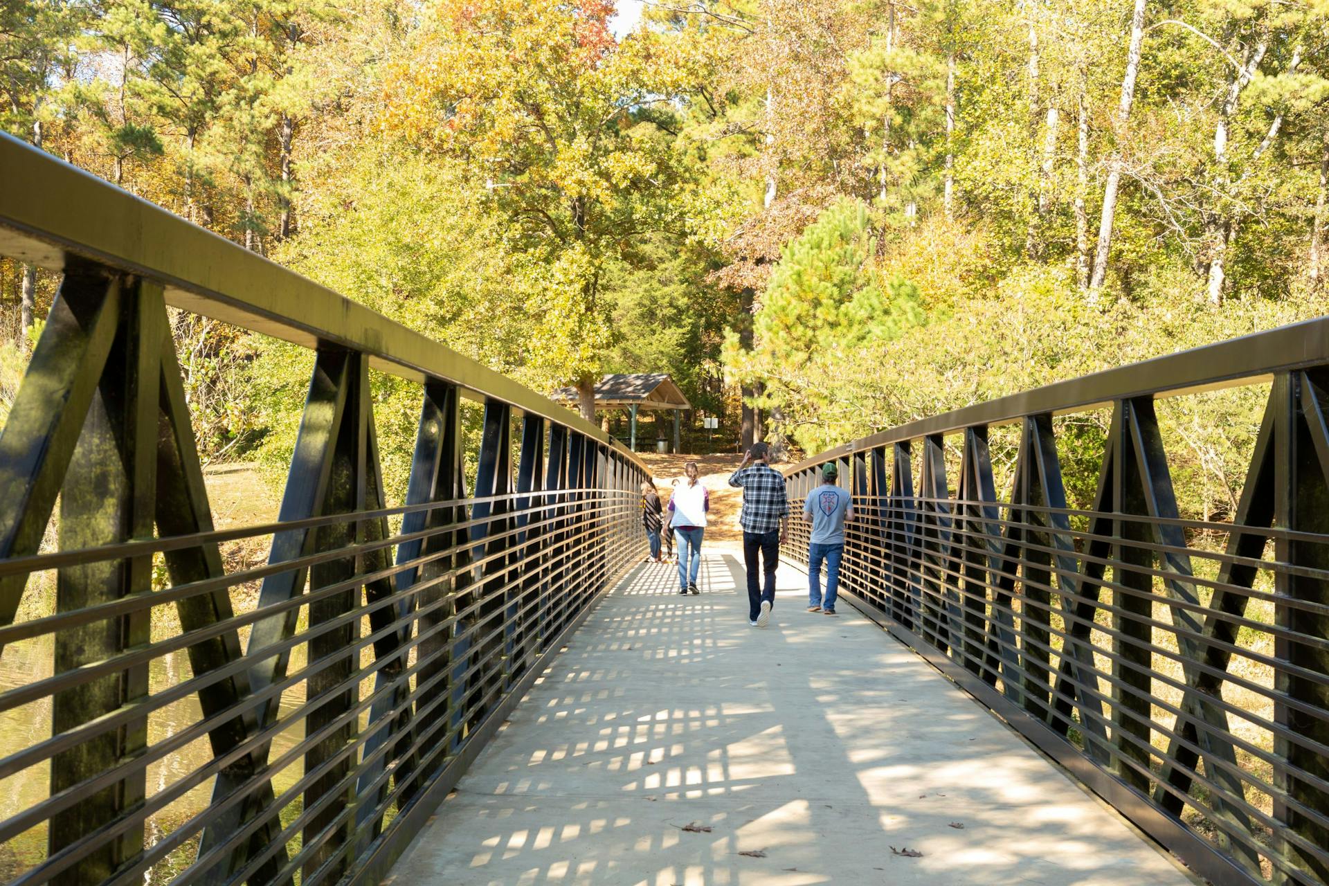 New Apartments at Perimeter Center | AMLI Brookhaven