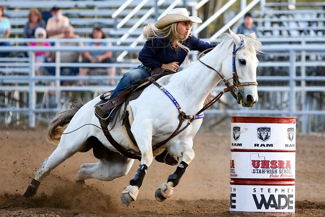 What Events Are In A Texas Rodeo?
