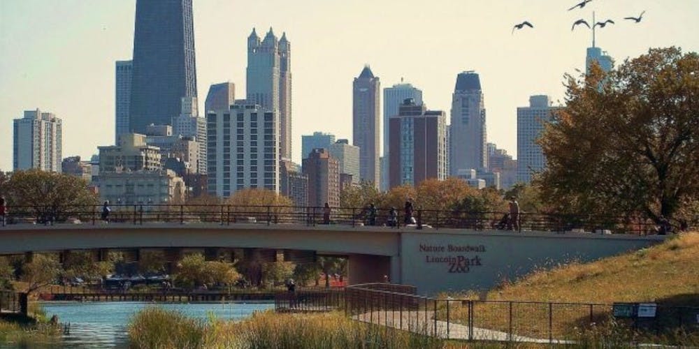 Exploring Chicago's Lincoln Park