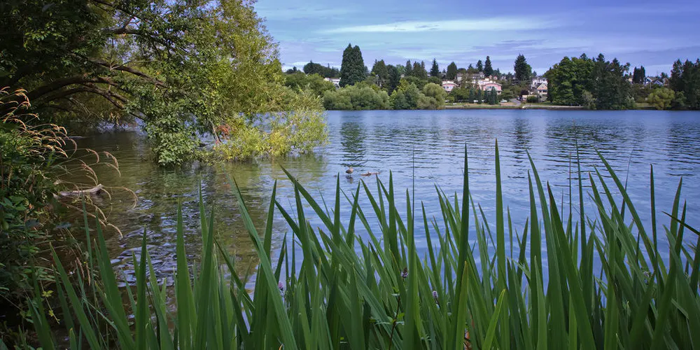 Spending the Day at Seattle's Green Lake