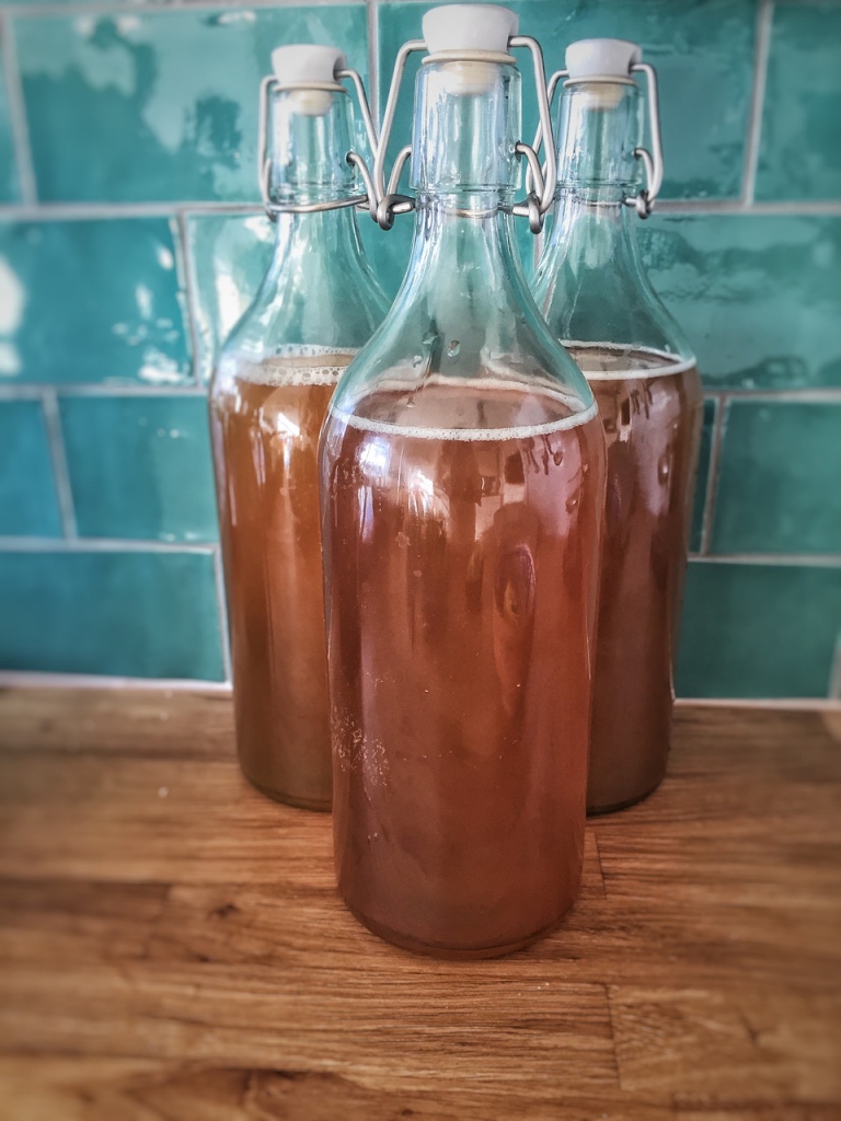 How to Brew Kombucha 101: Making Kombucha at Home