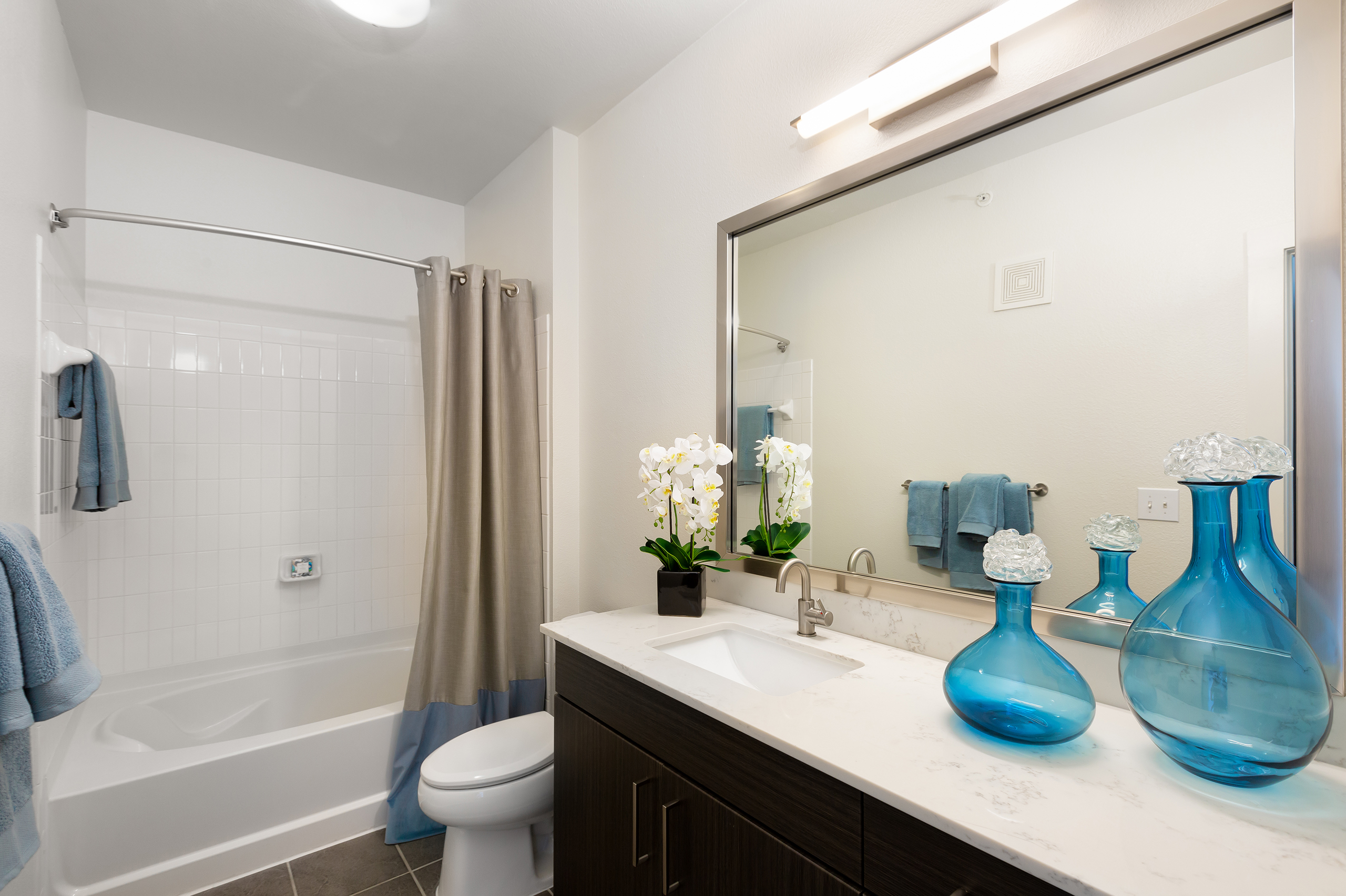 Luxury East Riverside Austin Apartments | AMLI South Shore