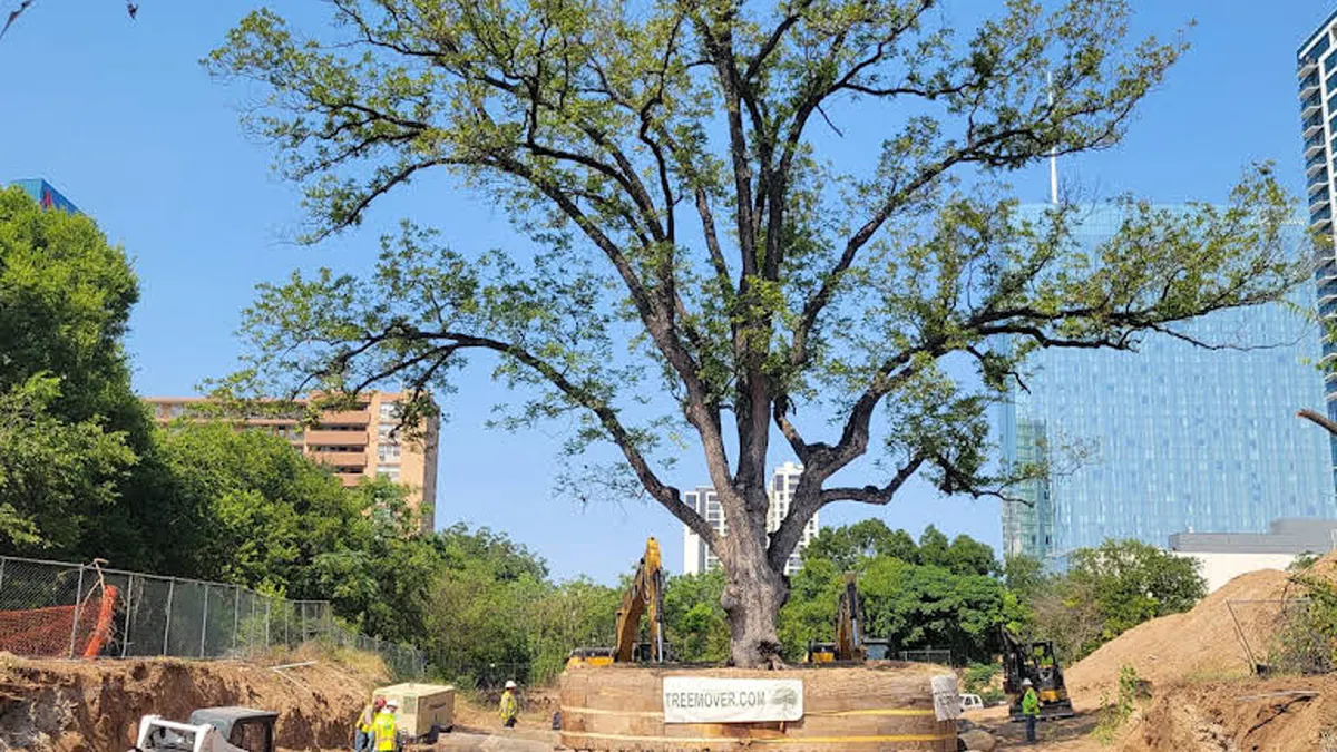 Luxury Apartments in Addison, TX | AMLI Treehouse