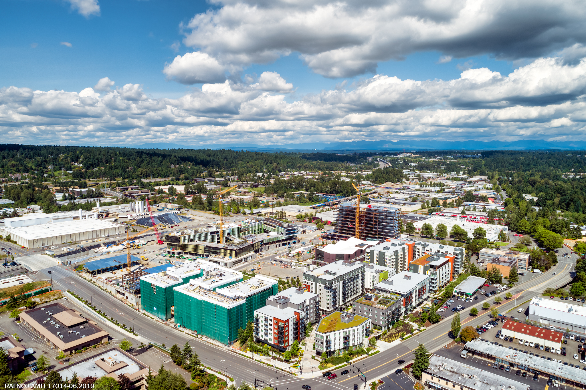 Living in Bellevue WA | Spring District Apartments | AMLI Spring District
