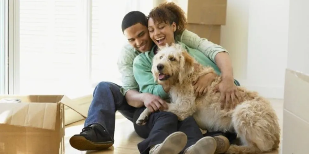 Provide a Comfortable Apartment for Your Dog | AMLI Residential