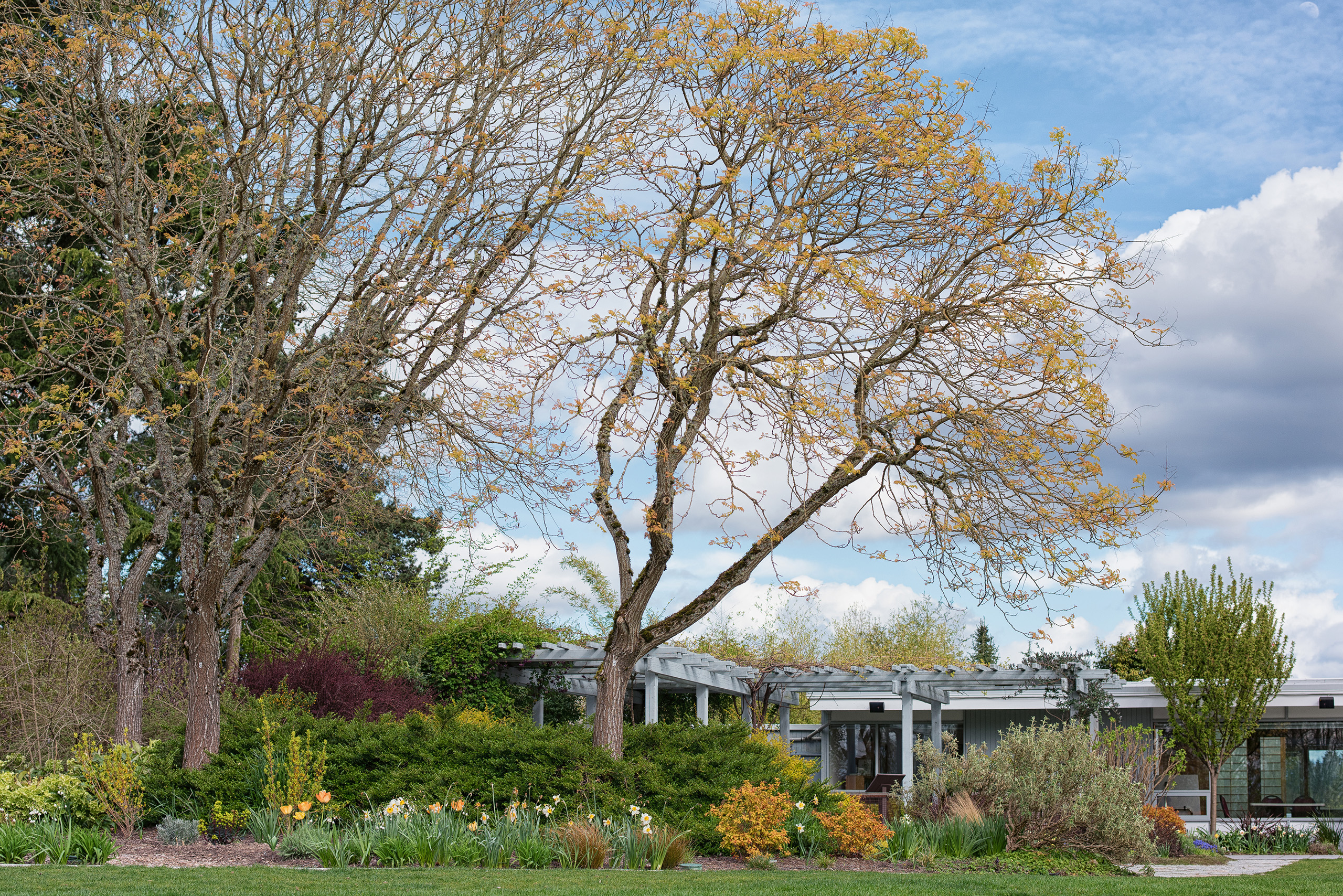 Spring District Apartments in Bellevue, WA | AMLI Spring District