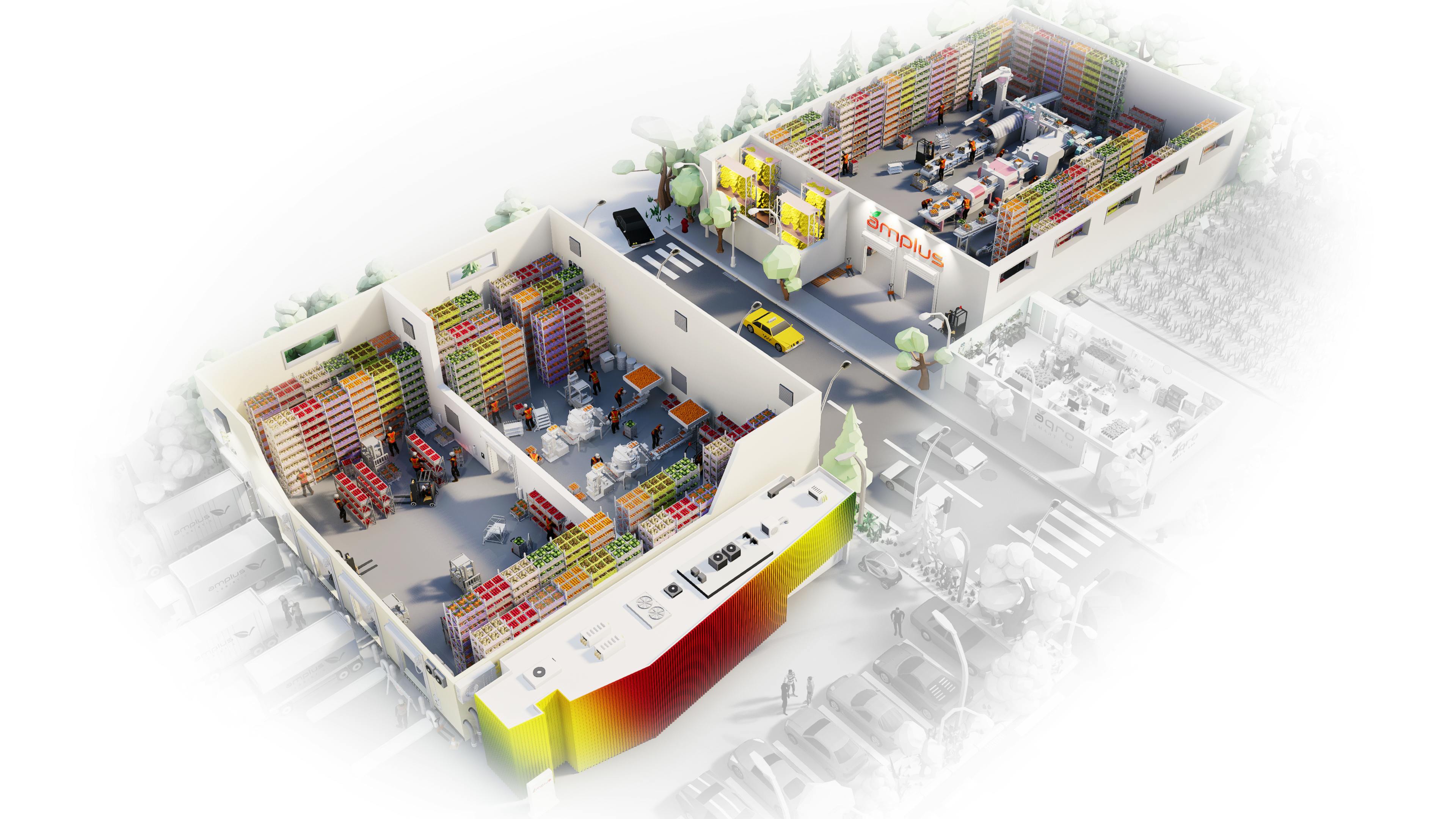 AMPLUS | Semper in altum