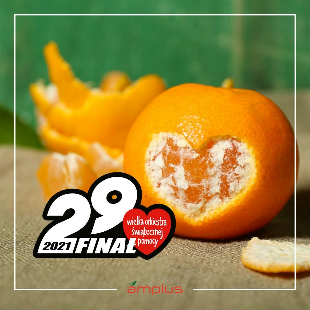 AMPLUS | AMPLUS plays with WOŚP