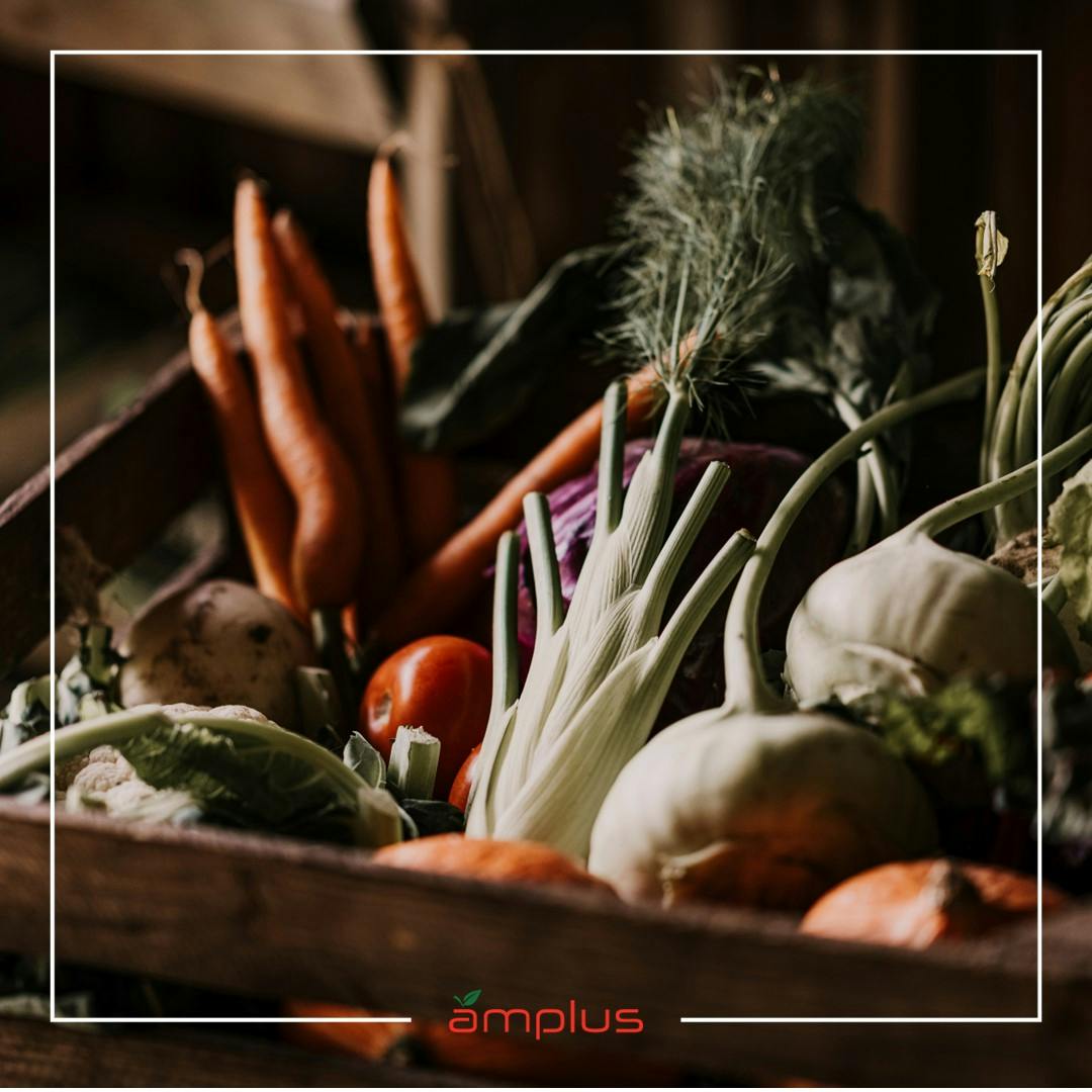 AMPLUS | AMPLUS in #mealforamedic campaign