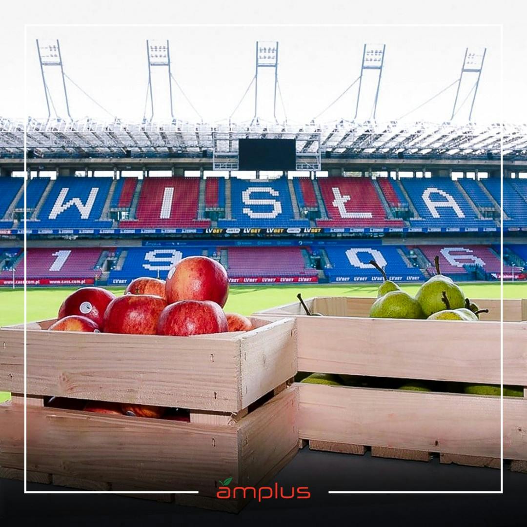 AMPLUS | AMPLUS as partner of the Wisła Junior project