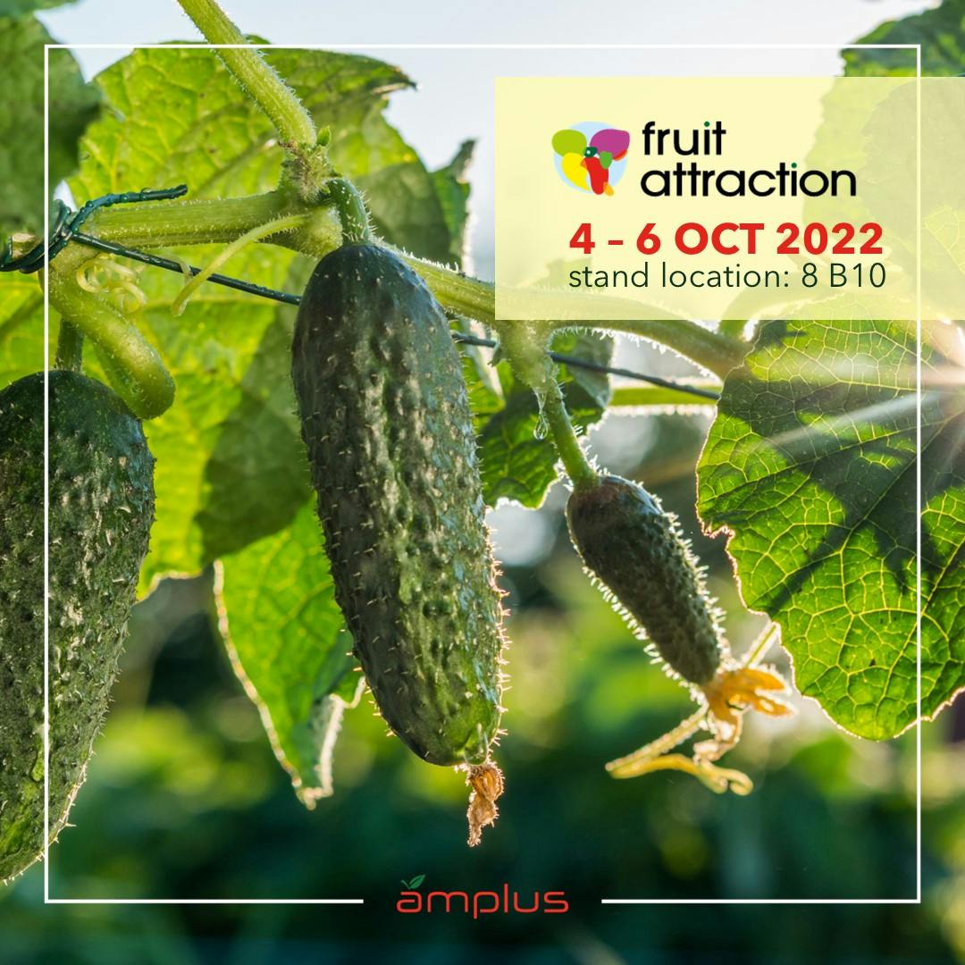 AMPLUS | AMPLUS at Fruit Attraction