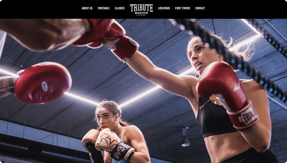 Creative - Tribue Boxing - Anatomy Studios | Brand Studio