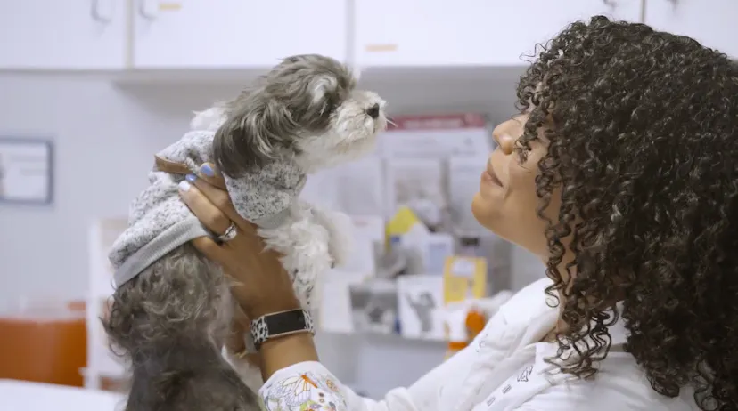Animal Outpatient Specialty Network (AOSN)