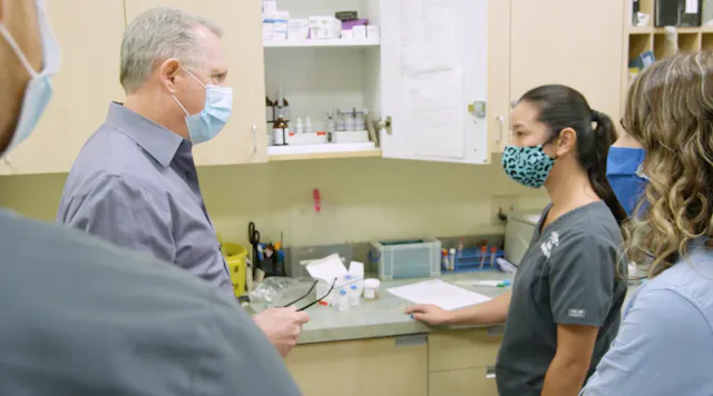 Animal Outpatient Specialty Network (AOSN)