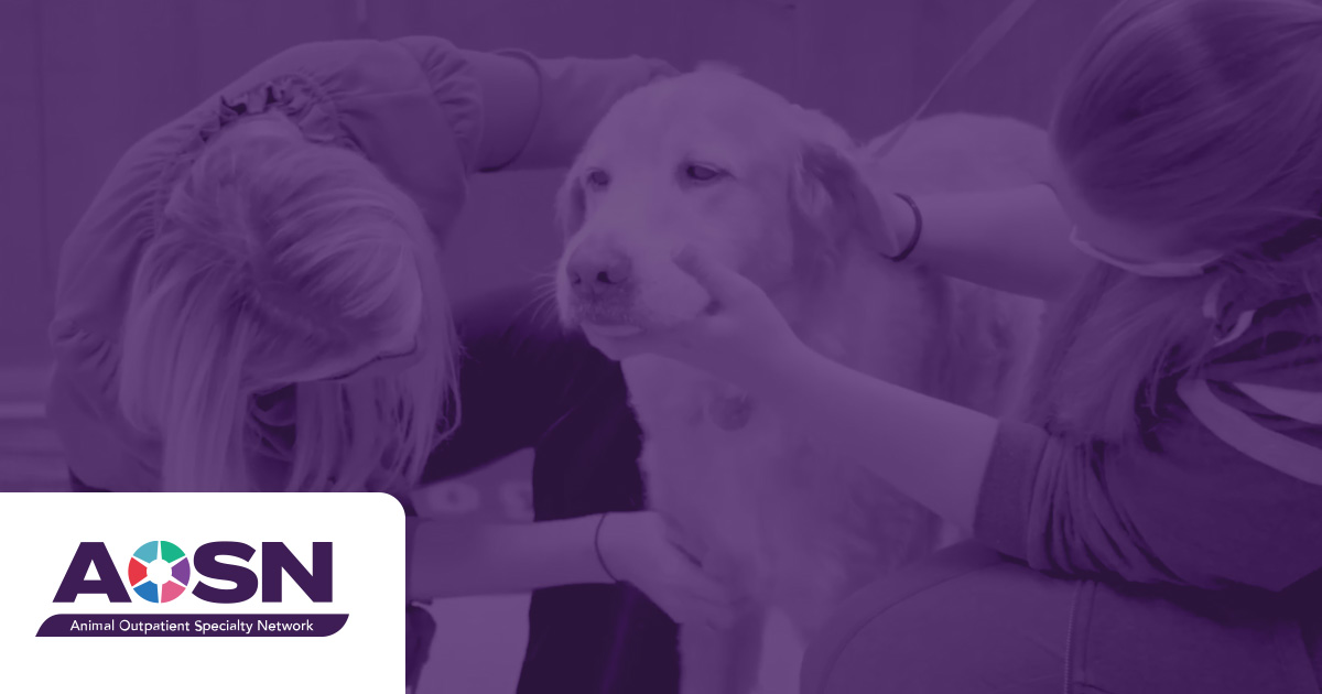 Animal Outpatient Specialty Network (AOSN)