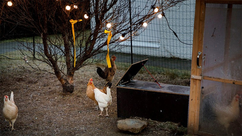 Sjálfbærni – Isavia ANS