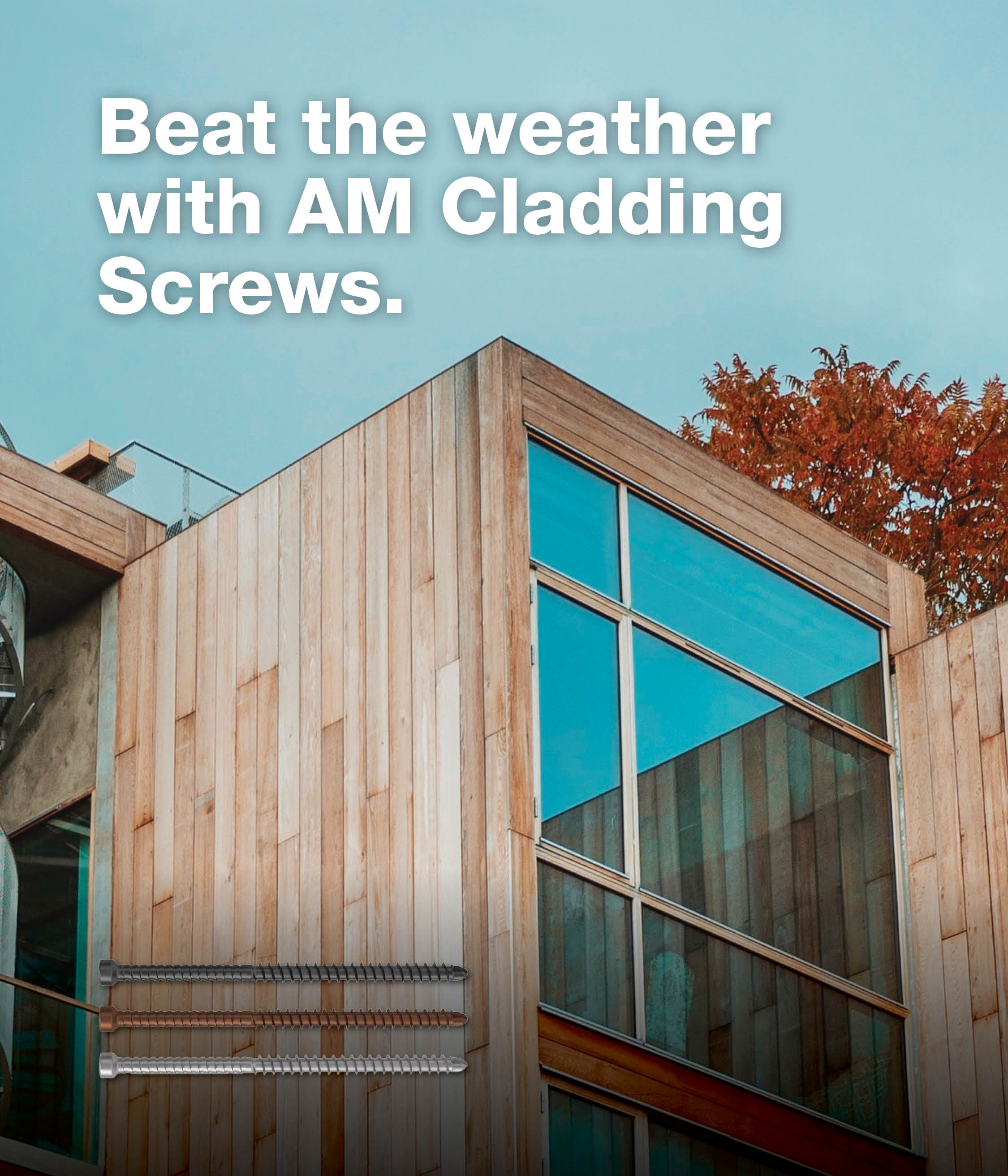 Stainless Countersunk Timber Cladding Screws with Star Drive