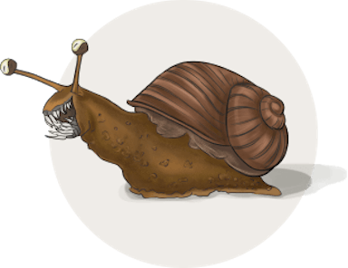 Orchid Care - American Orchid Society