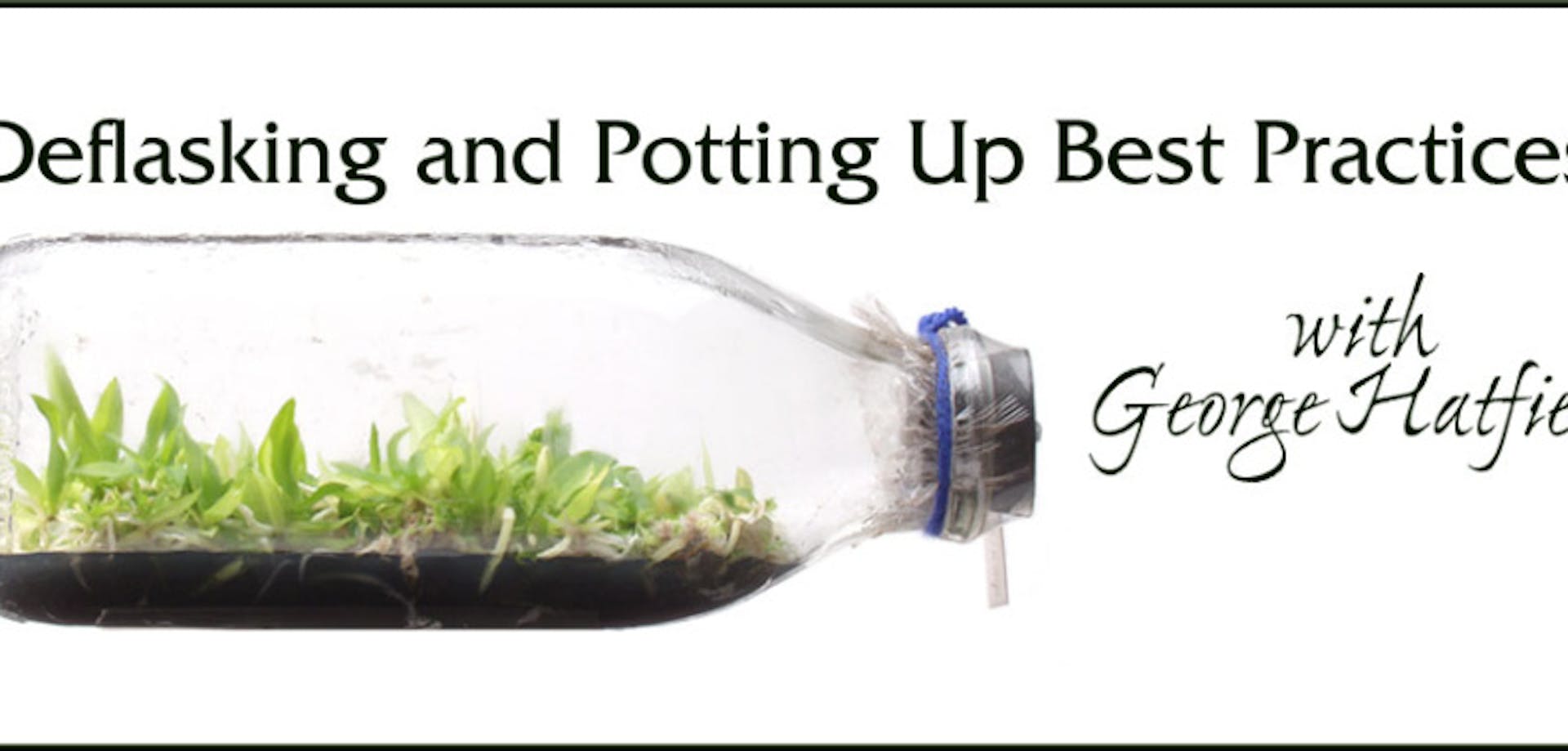 Deflasking and Potting Up Best Practices - American Orchid Society
