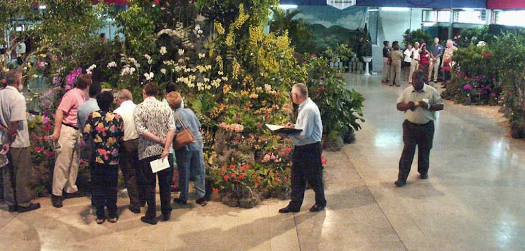 Judging Exhibits - David Janvrin - American Orchid Society