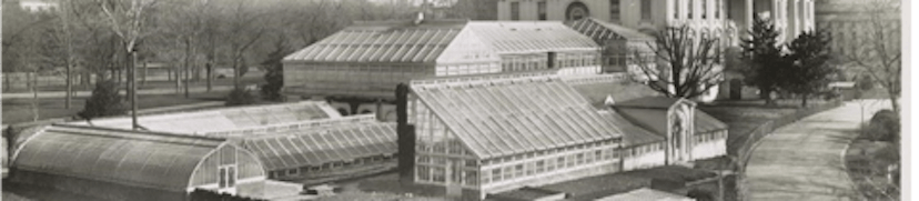 Arthur Chadwick - American Orchid Society