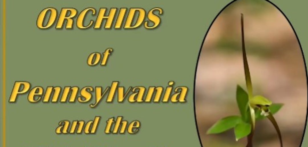 Webinars - American Orchid Society