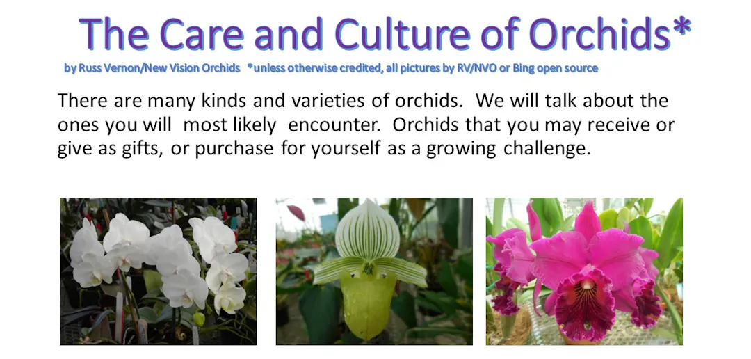 Webinars - American Orchid Society