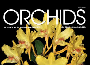 Watering: Techniques for Success - American Orchid Society