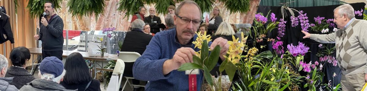 Forms for Judging - American Orchid Society