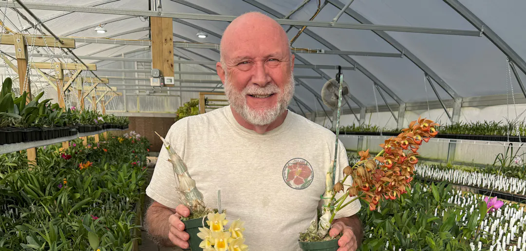 Take a Virtual Trip to Dresden, the 2026 World Orchid Conference ...